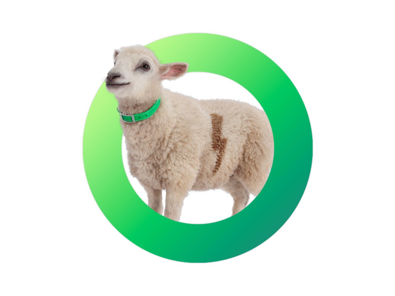 Stay connected on-the-go with Cox Mobile