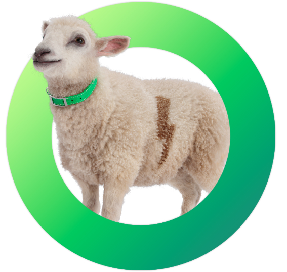 Stay connected on-the-go with Cox Mobile