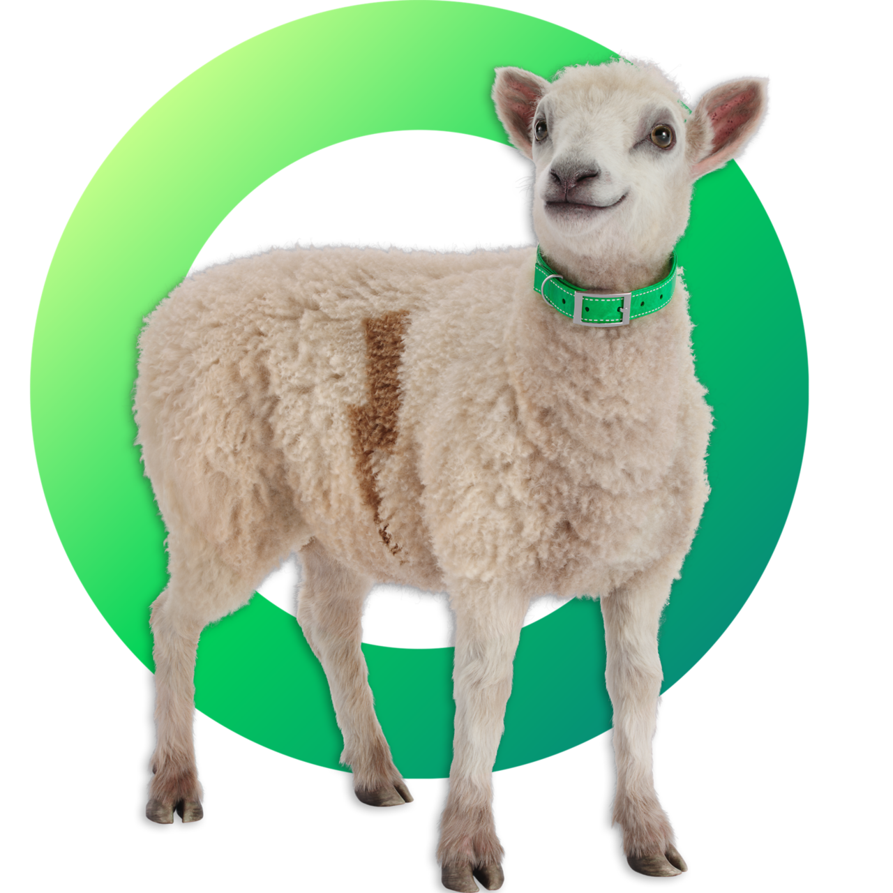 Stay connected on-the-go with Cox Mobile